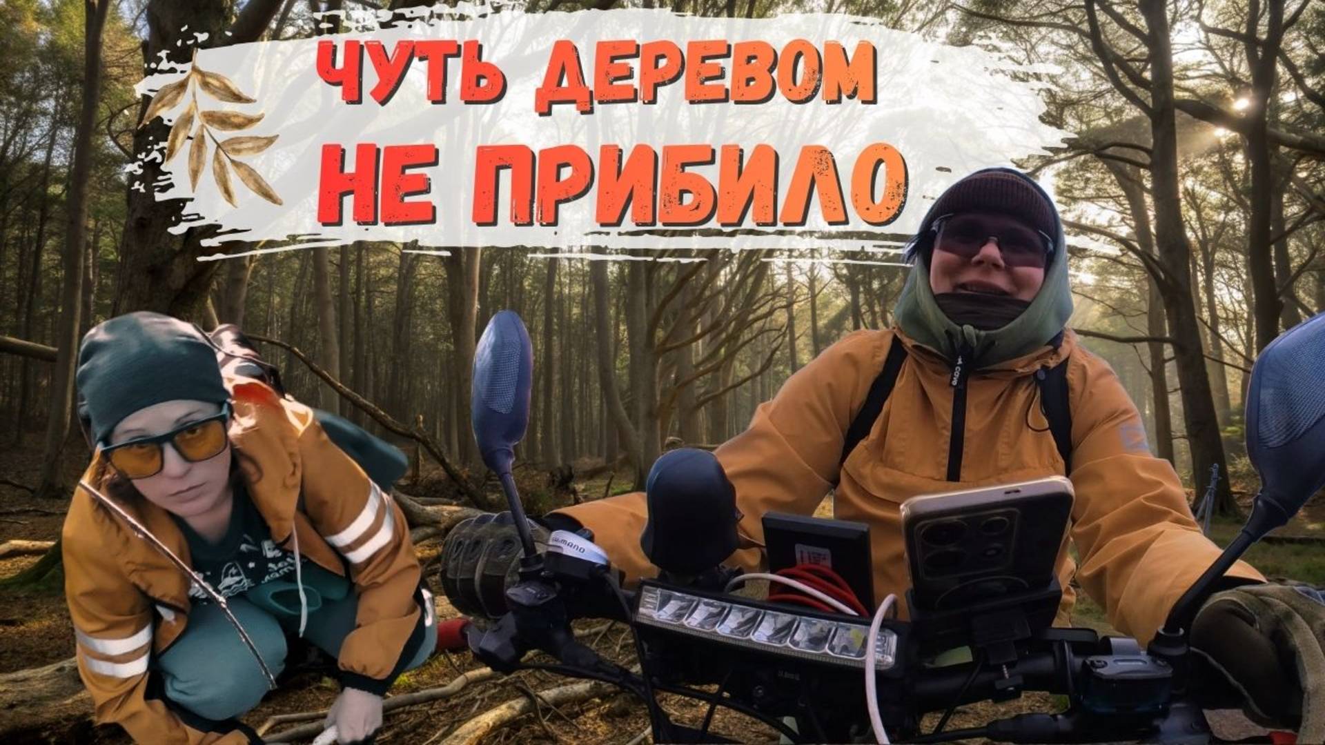 Нашли СЕКРЕТНОЕ МЕСТО в лесу. Жарим вкусный стейк на углях🍖