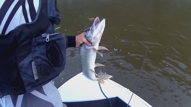 Я запарился рыбу таскать.Часть-2