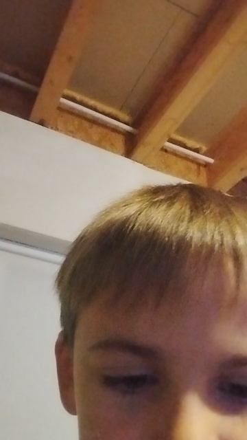 безбашенный дог