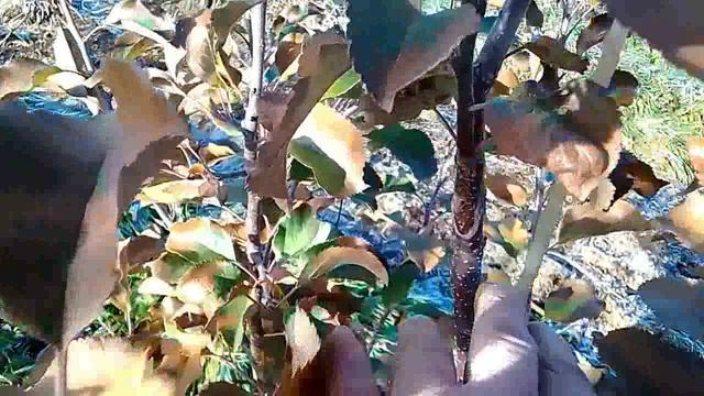 Предворительный итог сезона!