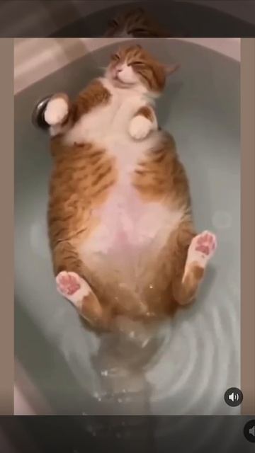 Штирлиц еще никогда не был так близок к провалу 😁😁  Смотреть больше приколов👉  🇷🇺 VideoCook