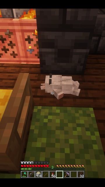 Принесла подарок, но подумала что её выселяют #minecraft  #майнкрафт