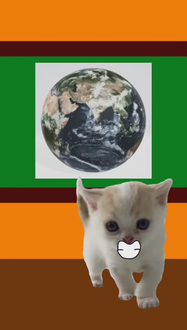 Недели котёнок Shorts (28) Земля Круглая