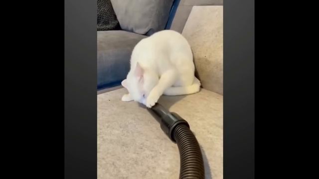 Неловкие моменты, снятые на камеру.!!!