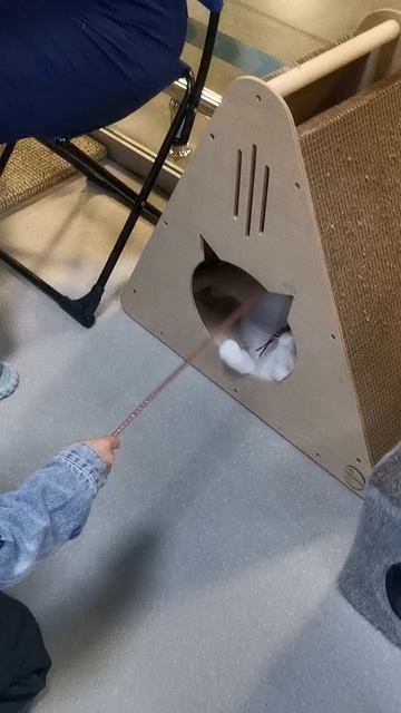 Девчата в катариуме, 31 октября 25