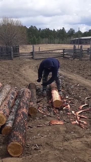 Деревенский трудяга