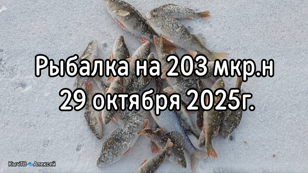 Рыбалка на 203 мкр.н