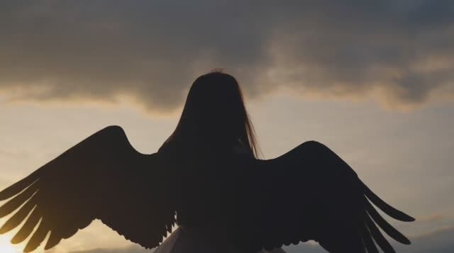 Take the Leap,Touch the Blue