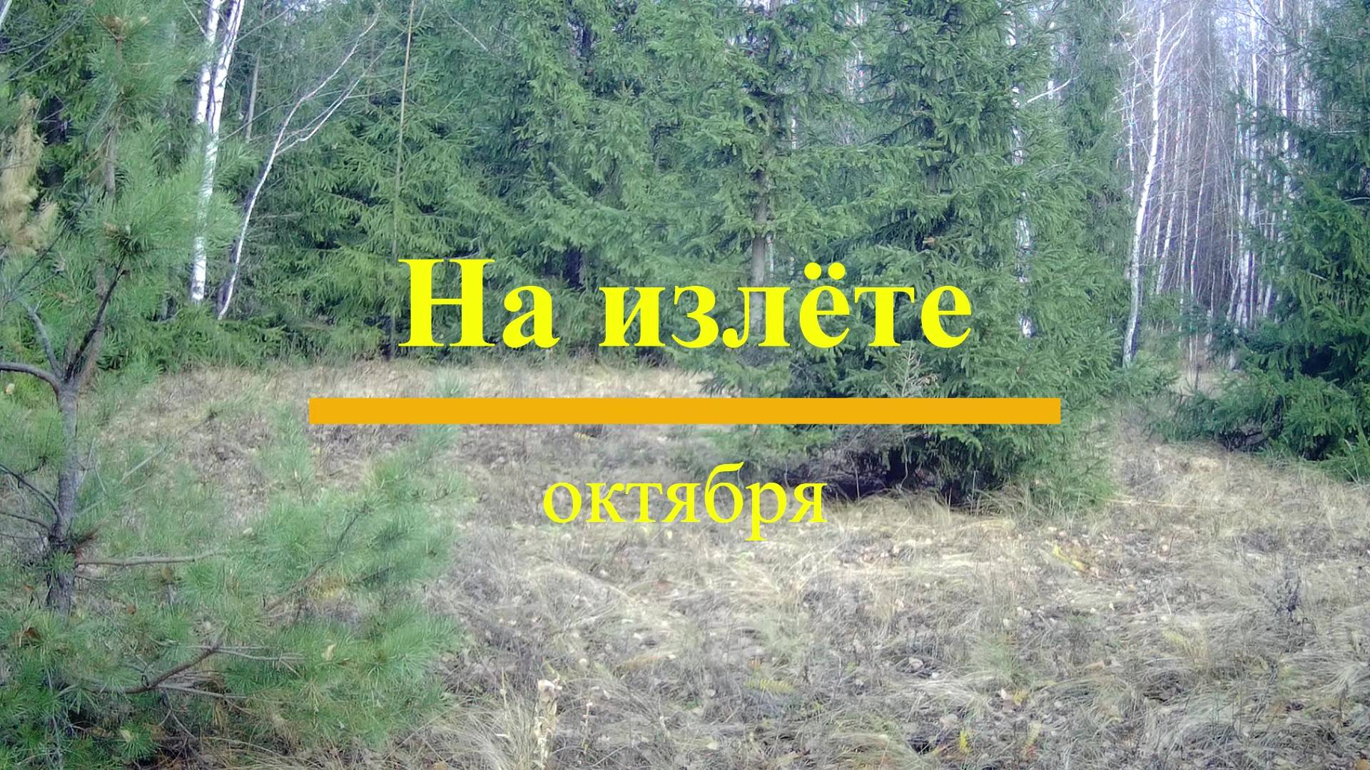 На излёте октября