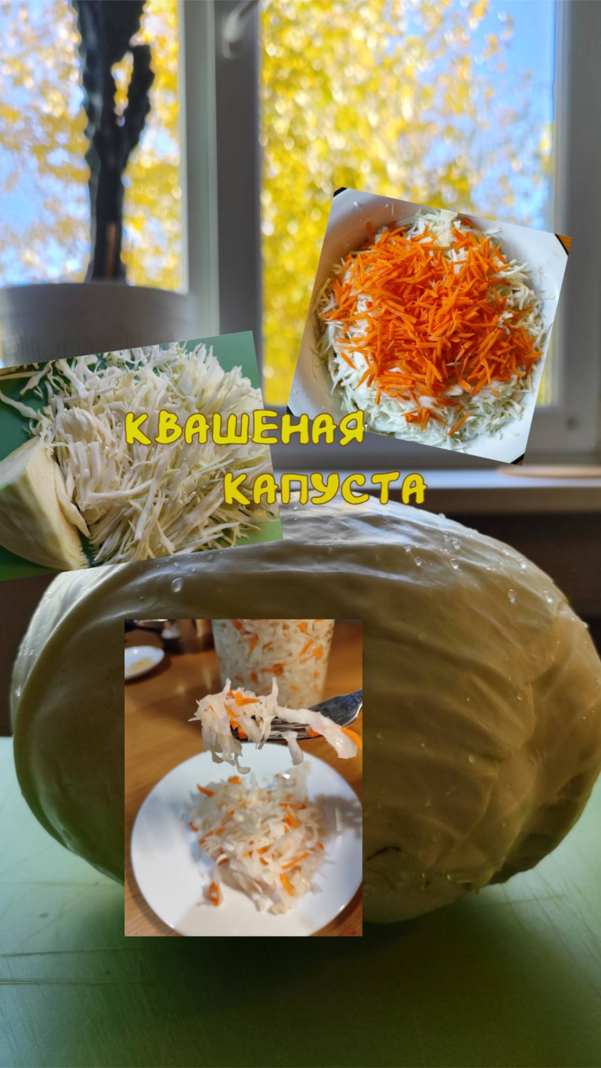 Квашеная капуста 01-11-2025