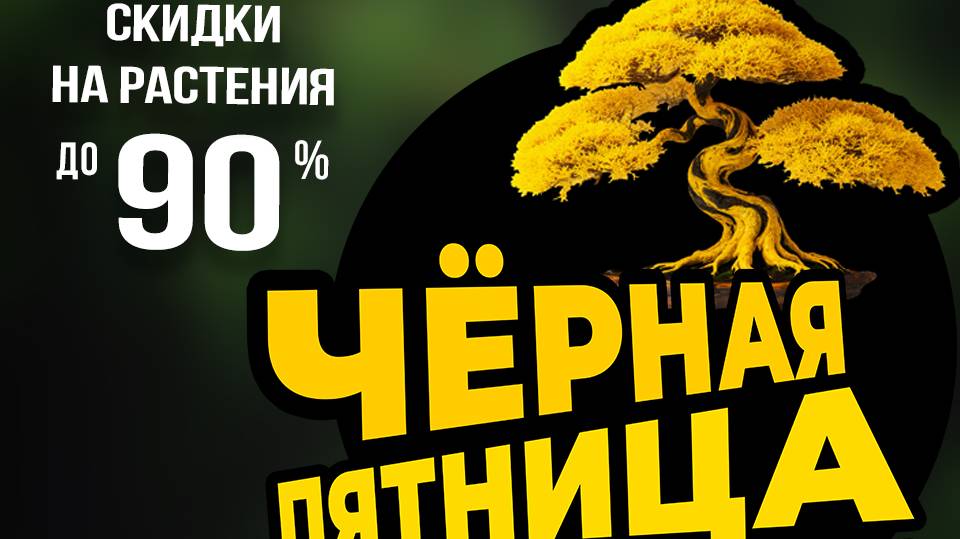 Черная пятница в Ромашкино Парк - 2025