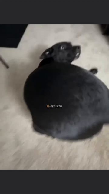 Прикол😂 Вечерние😂 танцы 😂