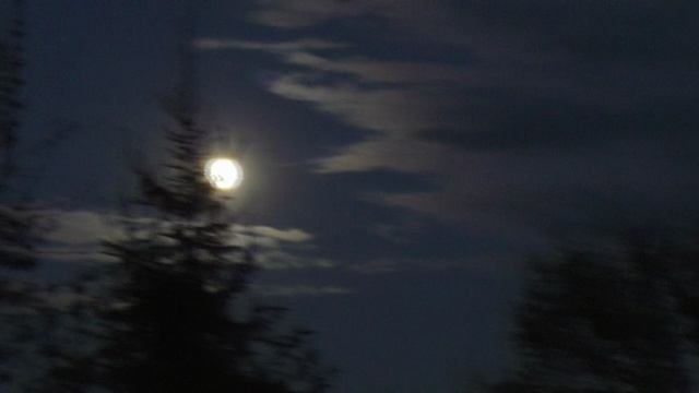 Песня. Любви картина вечная