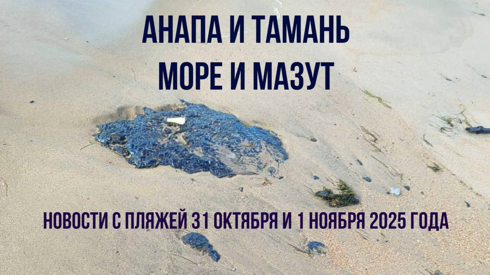 Анапа и Тамань, мазут, новости с пляжей 31 октября и 1 ноября 2025 года