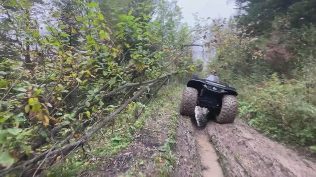 СЕКРЕТНЫЕ ТАЕЖНЫЕ ИЗБЫ   РВЕМСЯ НА ТОМСКОЕ