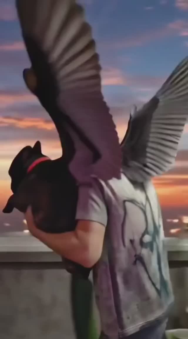 мы умеем летать