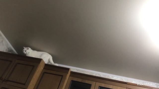 Такого ещё не было. Вызываю спасателей. Мальчик скалолаз