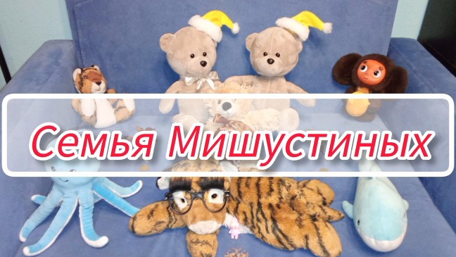 мультсериал "Семья Мишустинных"
