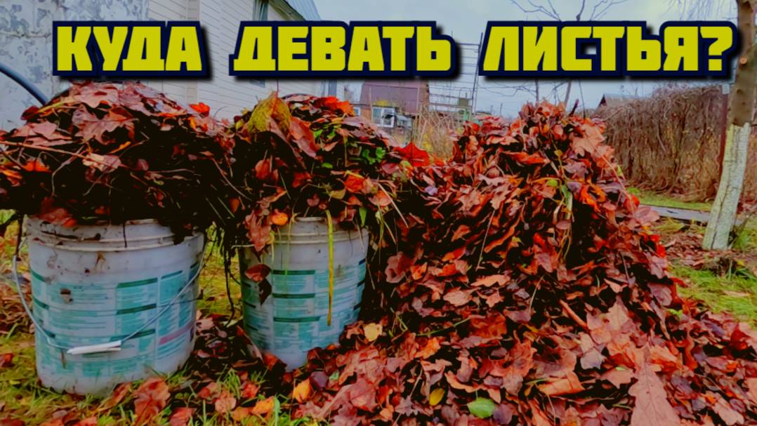 Как я использую опавшую осенью листву на своем дачном участке в огороде