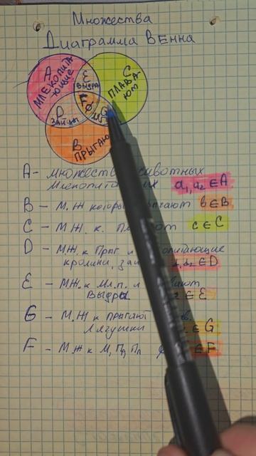 Множество и элементы множества. Диаграмма Венна