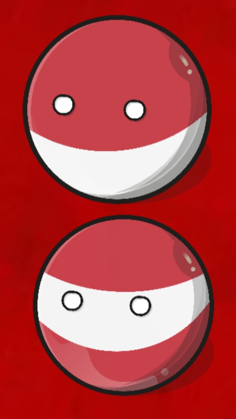 похожие флаги☠️