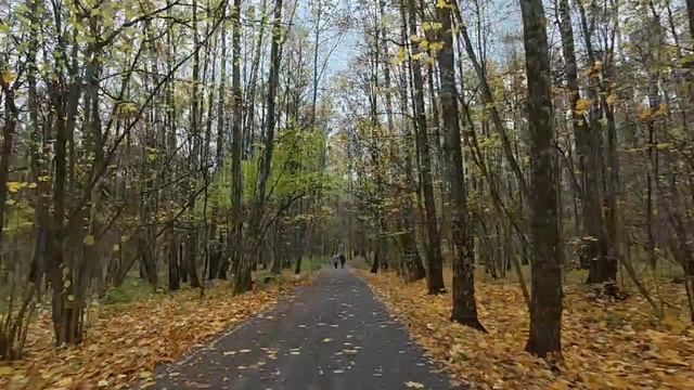 Осеннее катание