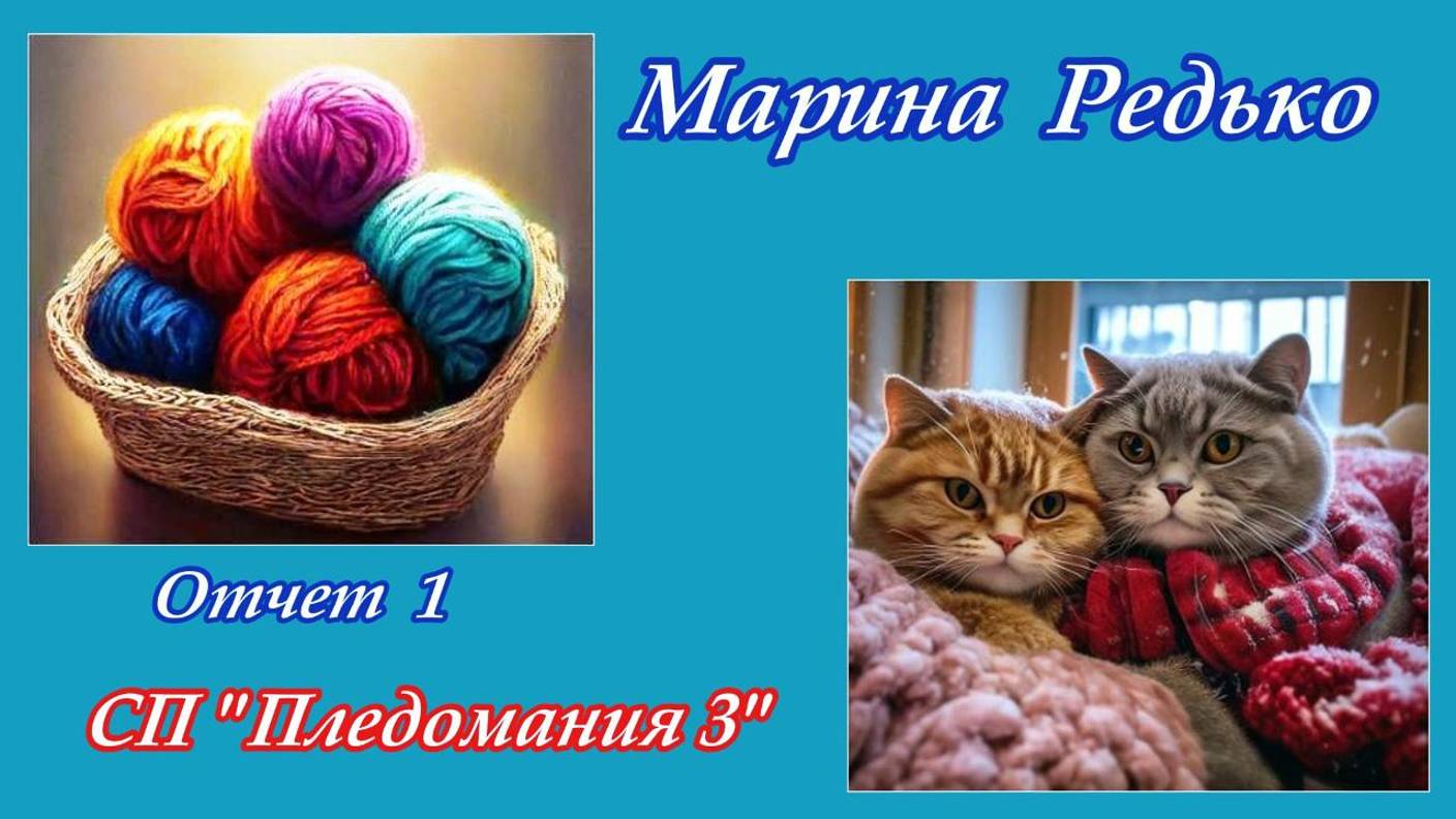 СП "Пледомания 3" / Отчет 1