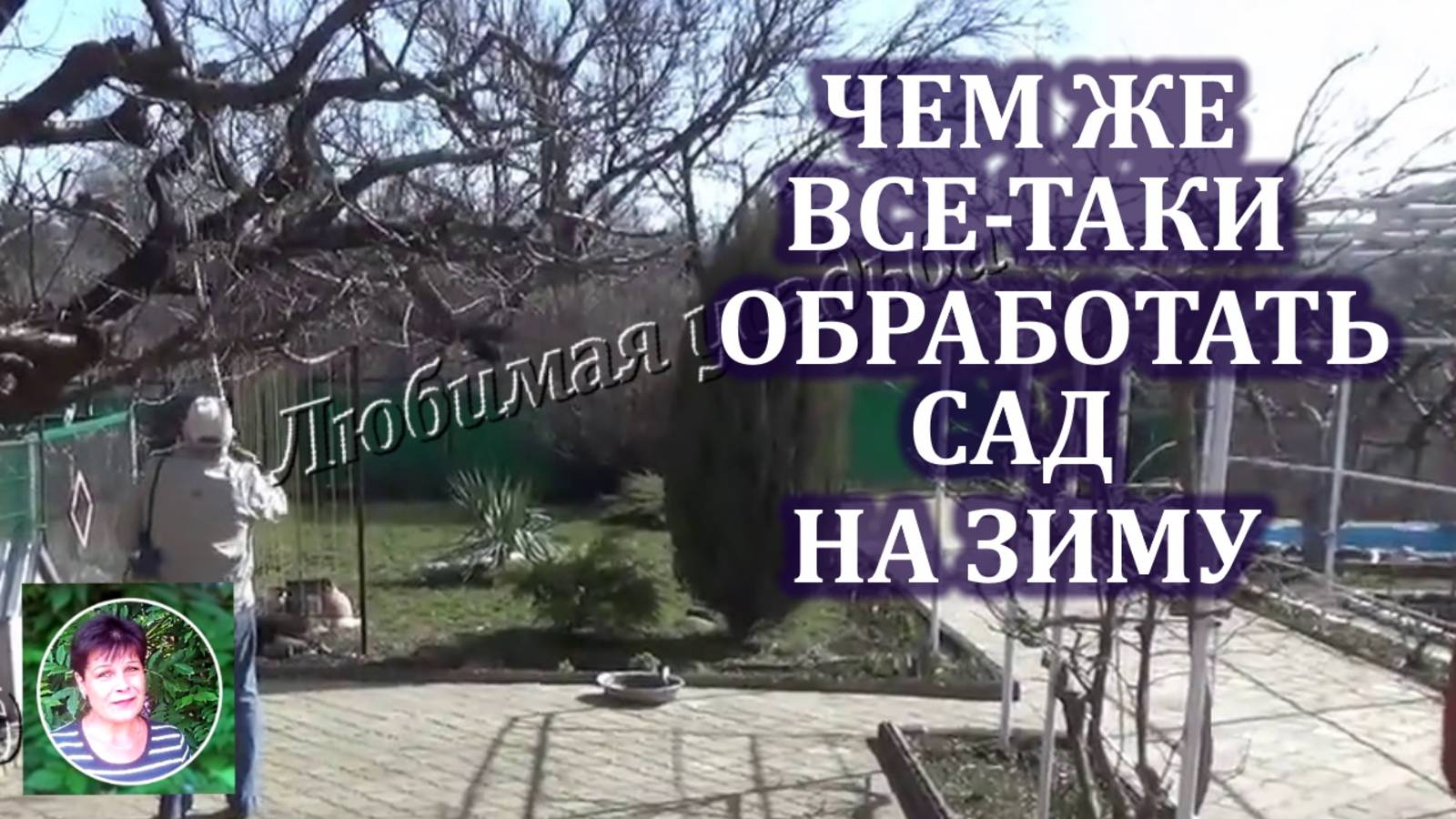 Чем обработать сад поздней осенью по голым веткам.