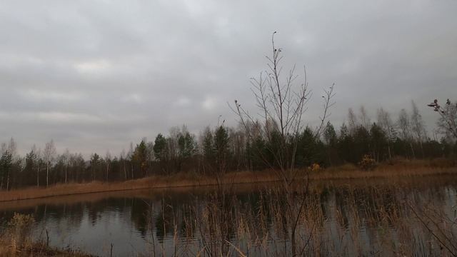 ПОДКРАЛСЯ К СТАЕ. НАШЛИ ТАЙНЫЙ ГОРОД. ОХОТА НА УТКУ В НОЯБРЕ