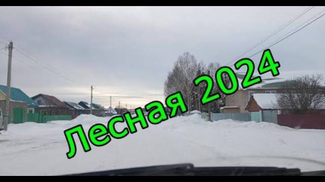 Красноусольск. Улица Лесная