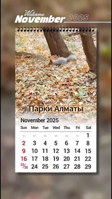 Добро пожаловать, Ноябрь!