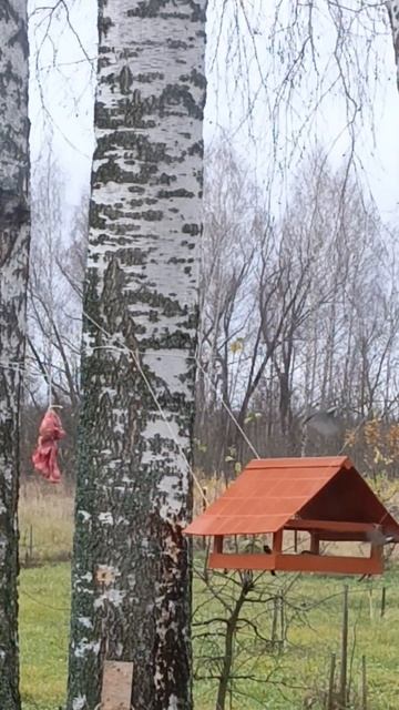 Притча о широте души.