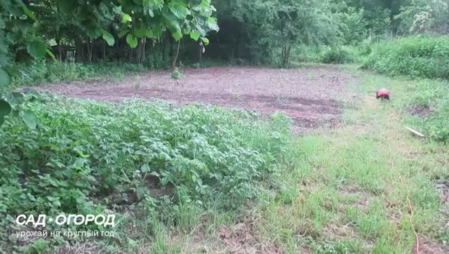 Грядки своими руками