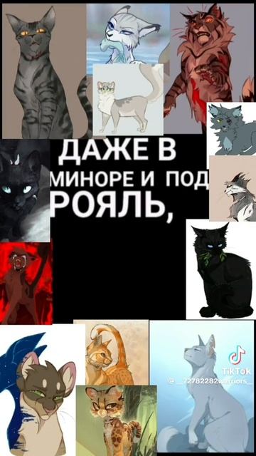 Моё мнение!