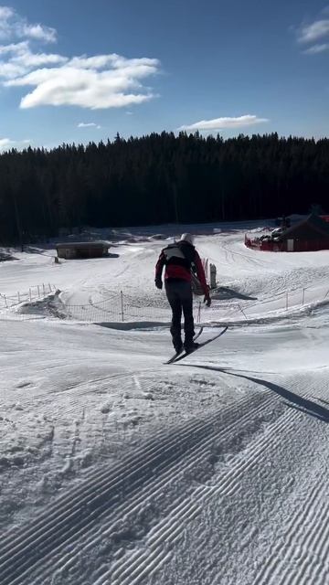 На лыжах можно кататься по разному))