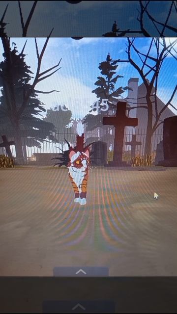 Как я выросла во wcue