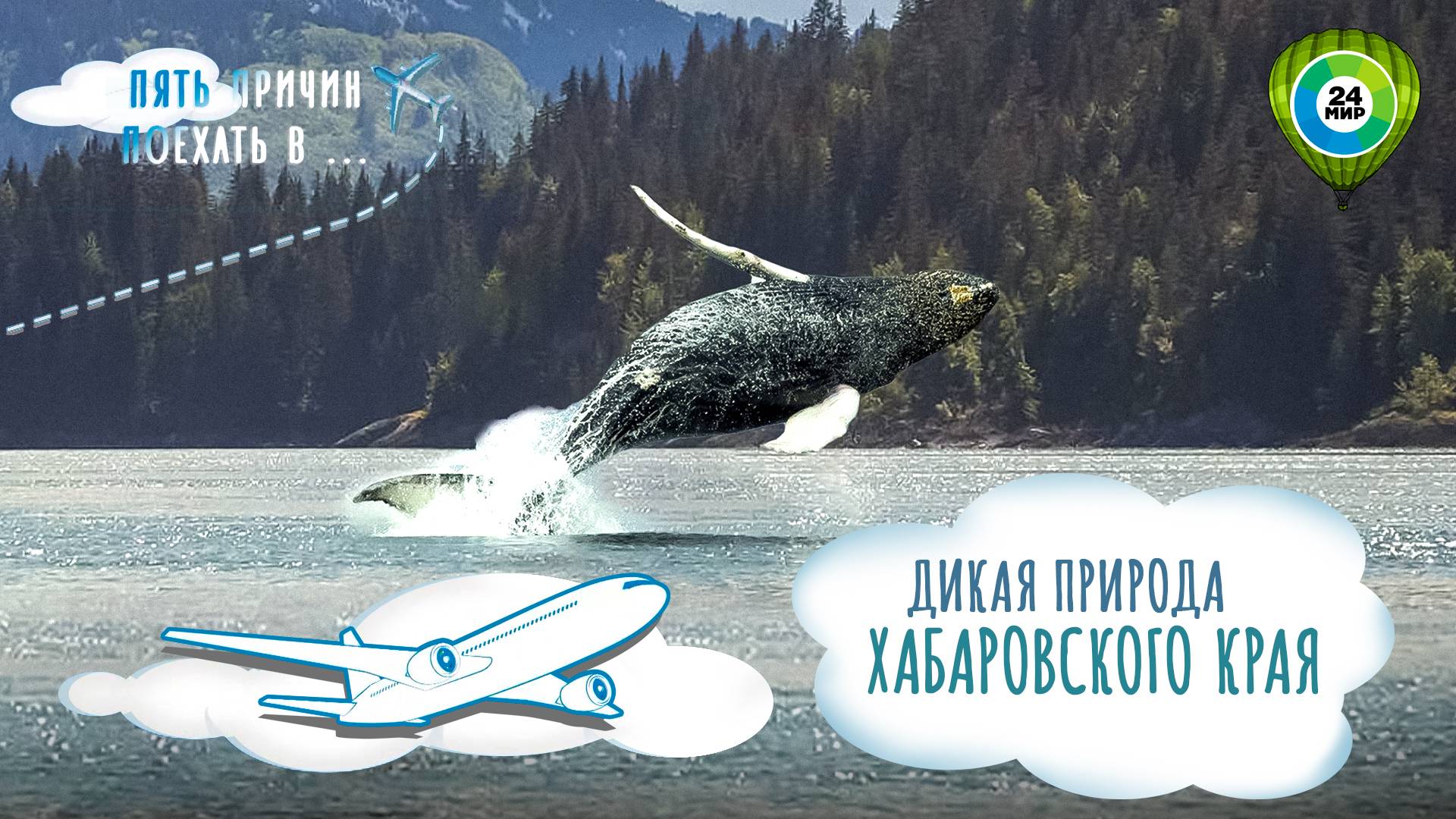 Арктические киты, древние заповедники и редкие животные: пять причин поехать в Хабаровский край