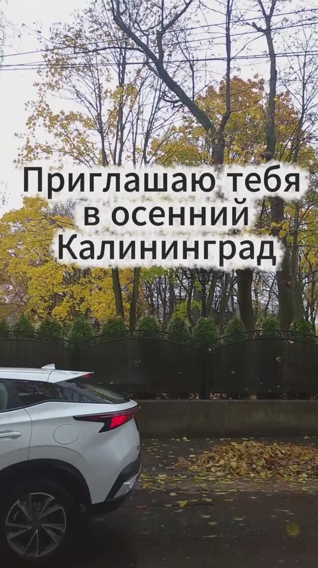 Осенний Калининград