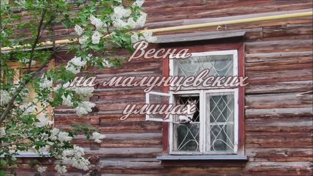 Весна на малунцевских улицах