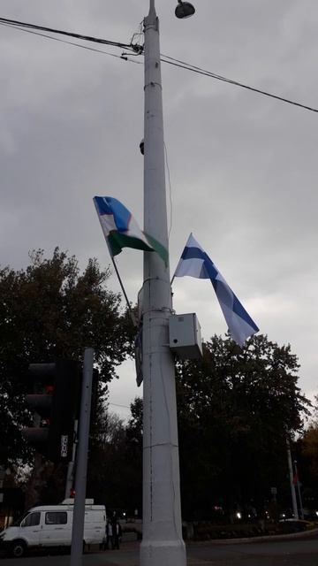 Узбекский и финский флаги