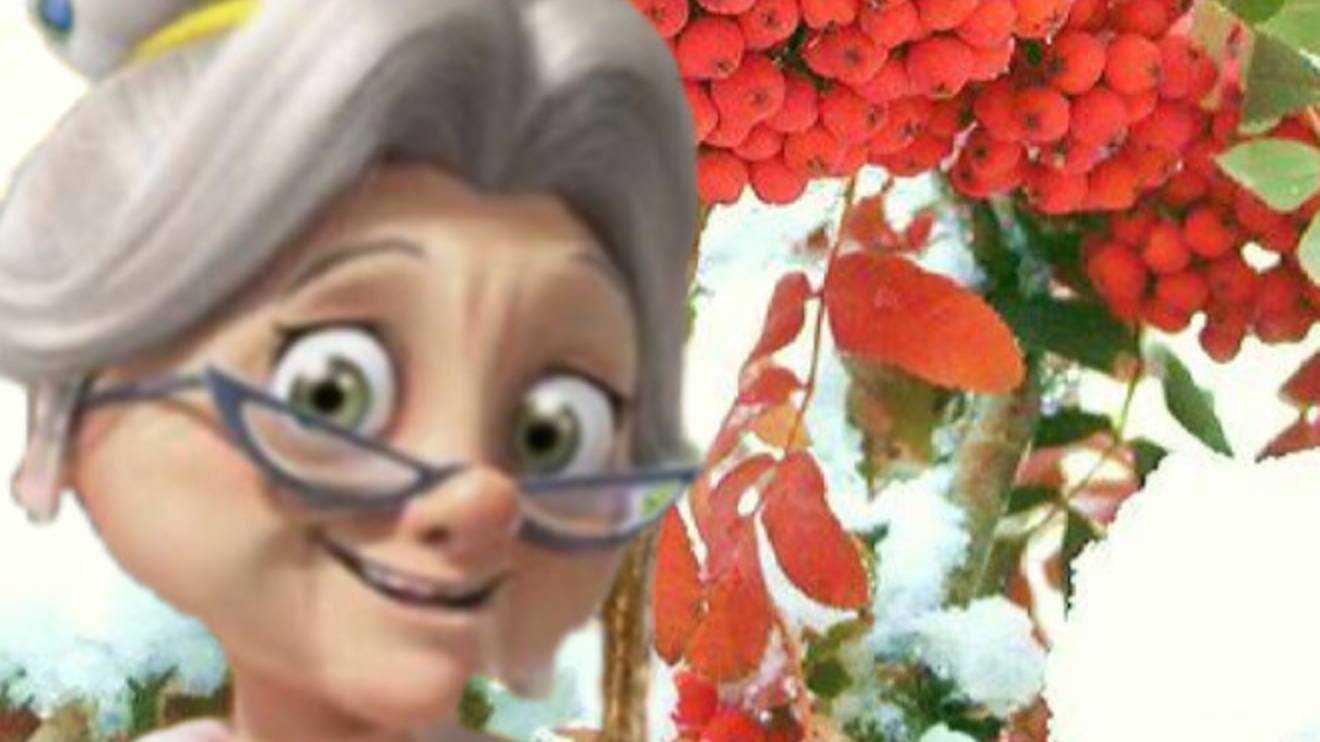 Как легко очистить гранат.