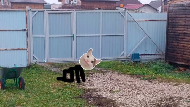 прятки от собаки АНИМАЦИЯ МиРоНчИк