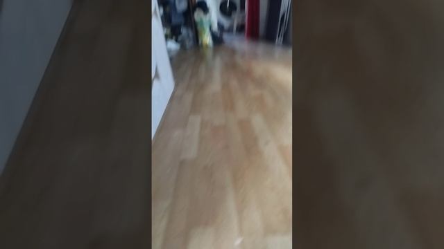 игры с Минкой