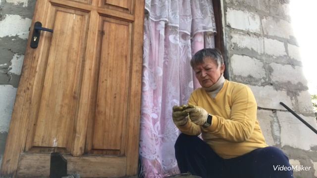 Закрытие дачного сезона. Собрала орехи. Ежевика на зимовку.