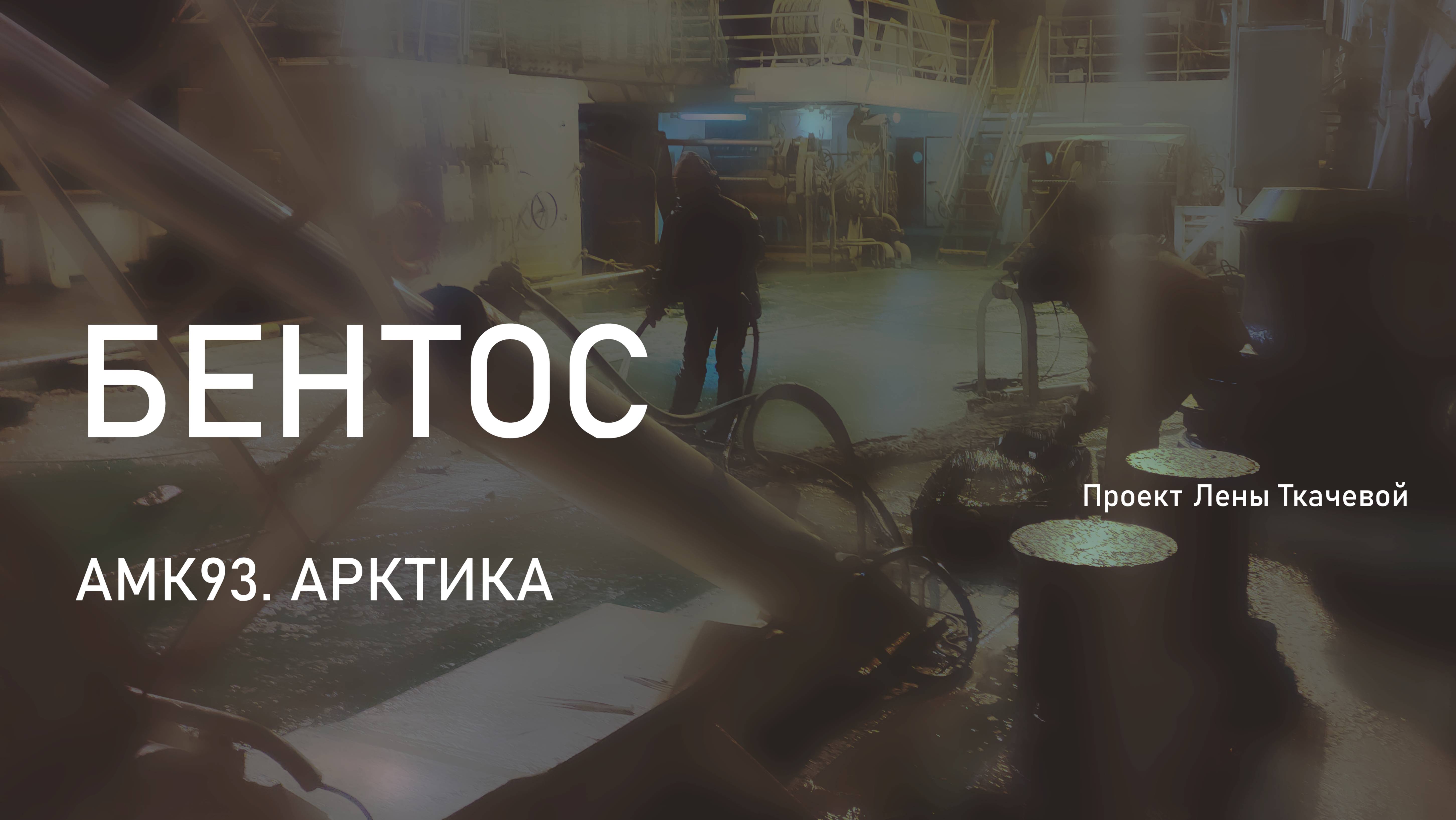 Режиссер. Мои фильмы