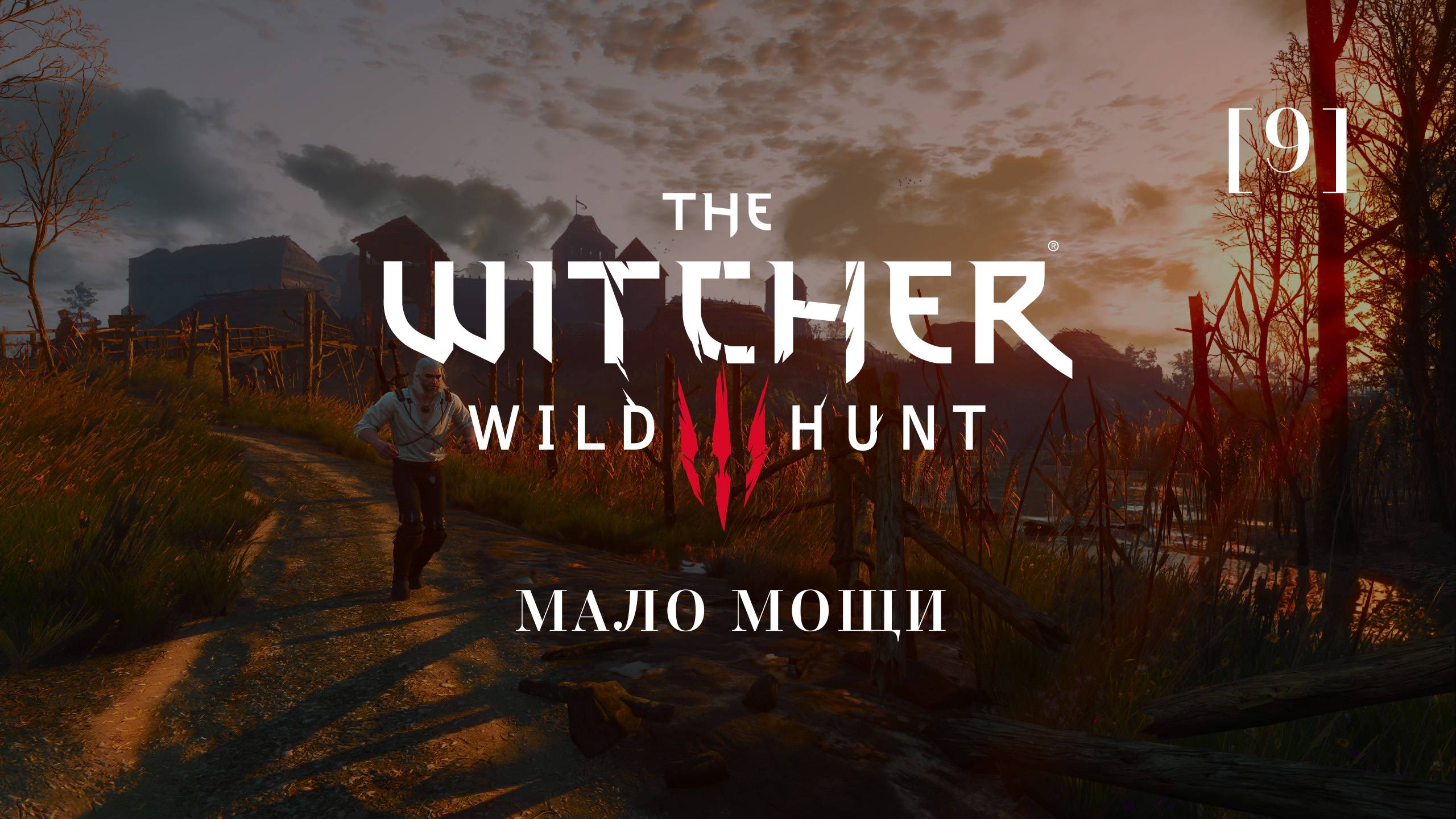Ведьмак 3: Дикая охота | 9 | Мало мощи