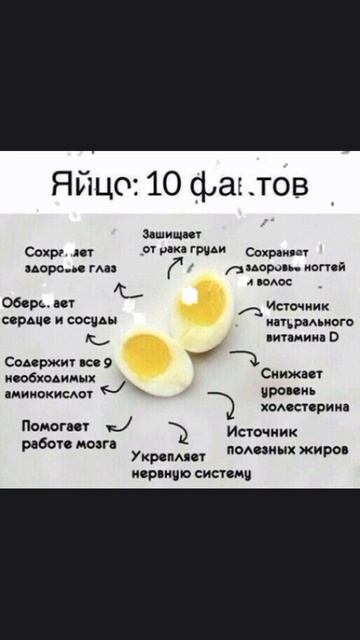 #здоровье #еда #пища #продукты #польза #яйца #katyboro