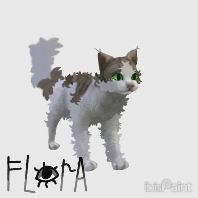 крисс 2(кет сим)