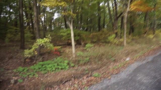 Улица Залесная-2