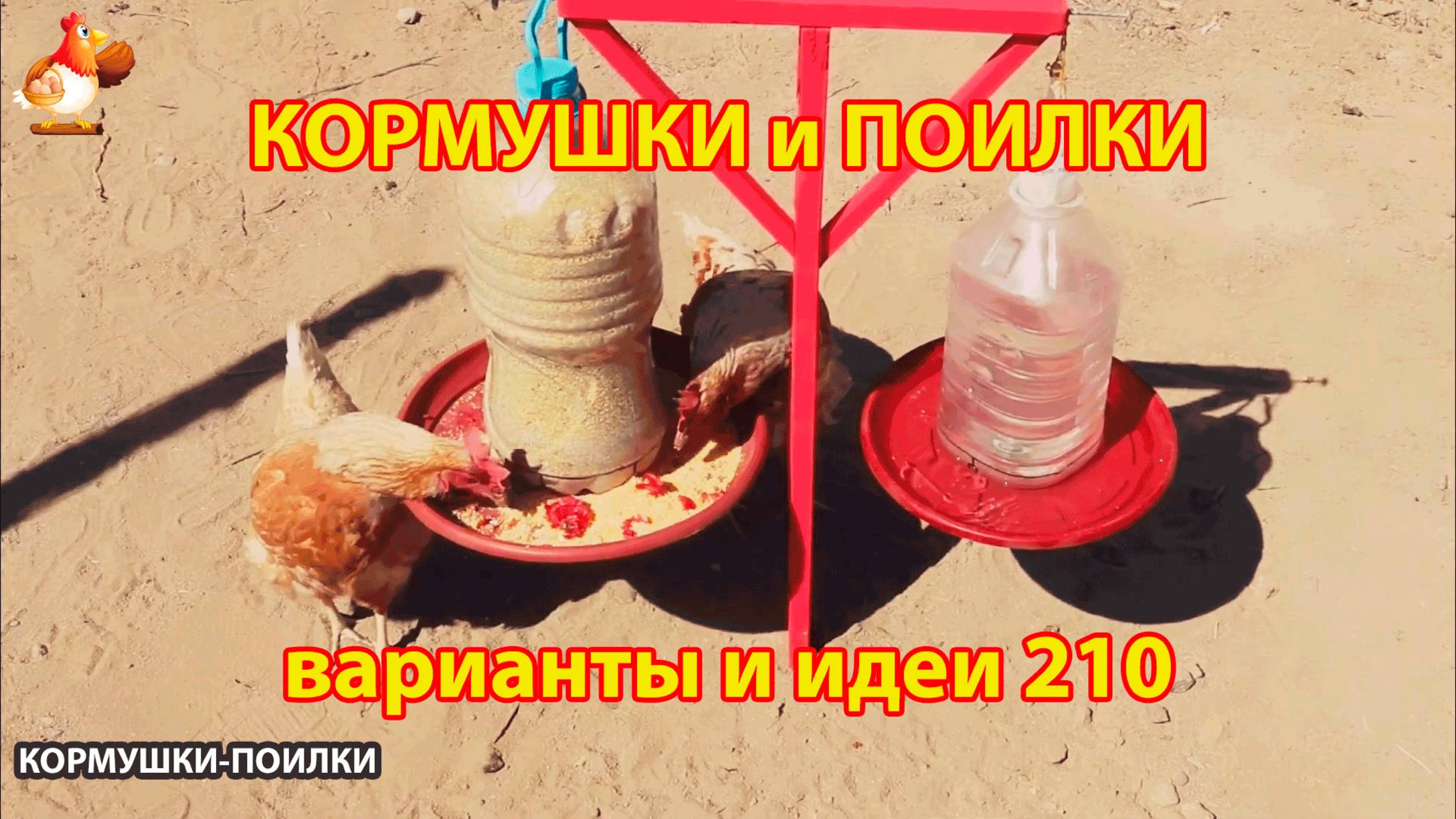 Кормушки и поилки для кур своими руками (210) 🪚✂️ Пошаговая инструкция как сделать 🐔 🐓❣️